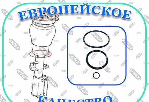 Резиновый уплотнитель пневмобалона BMW E53 перед