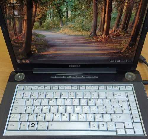 Toshiba Sattelite A200-1M8