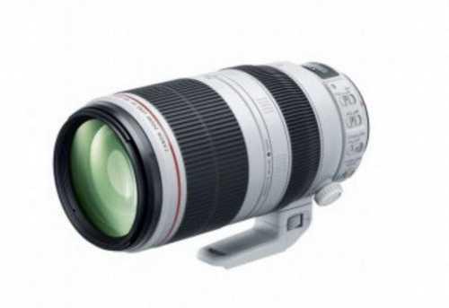 Canon EF 100-400mm f/4.5-5.6 L IS II USM