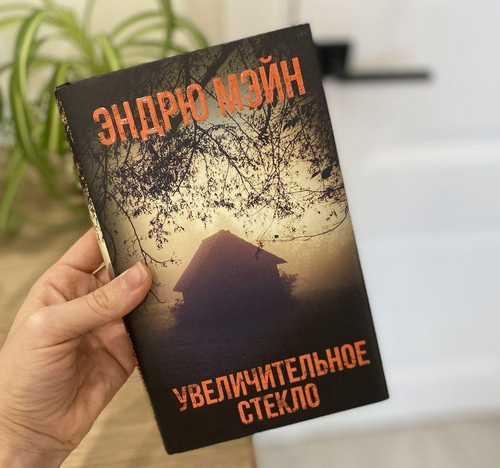 Книга Эндрю Мэйн "Увеличительное стекло"