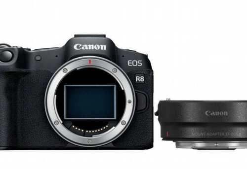 Canon R8 + адаптер