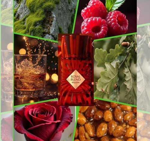 Royal Blend Sequoia French Avenue