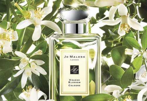 Jo Malone Orange Blossom