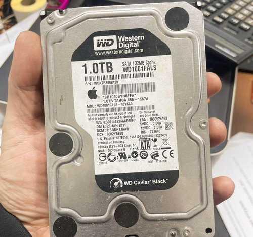 Жесткий диск WD 1 TB, все работает