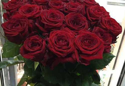 Букет из 19 роз красных