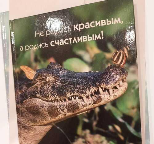 Фотоальбом книга Не родись красивым (веселые живот