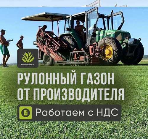 Натуральный газон от поля