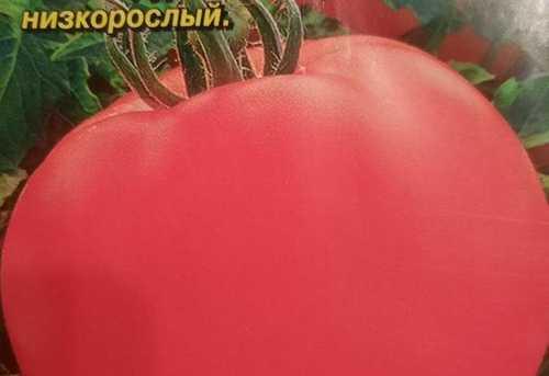 Помидор (томат) Ямал (низкорослый сорт)