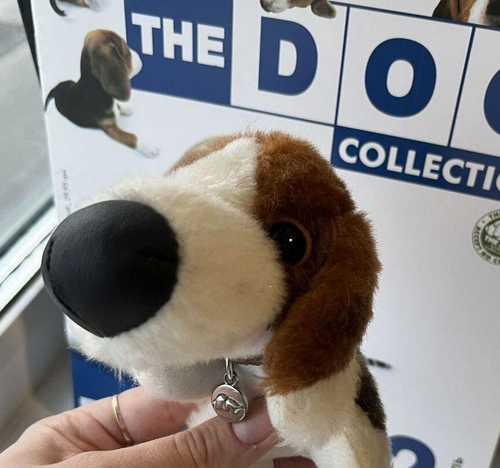 Бигль The Dog Collection