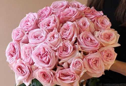 Розы Эквадор, пионовидные розы, доставка цветов