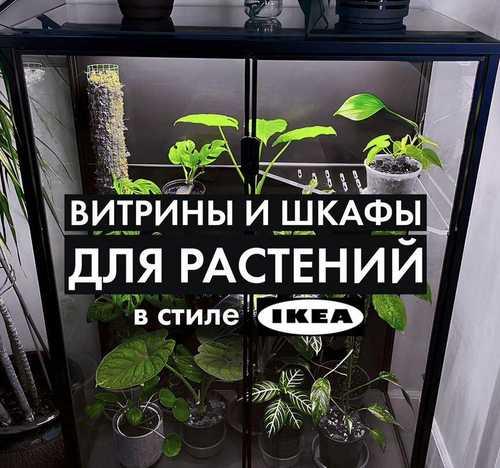 Шкафы витрины для растений