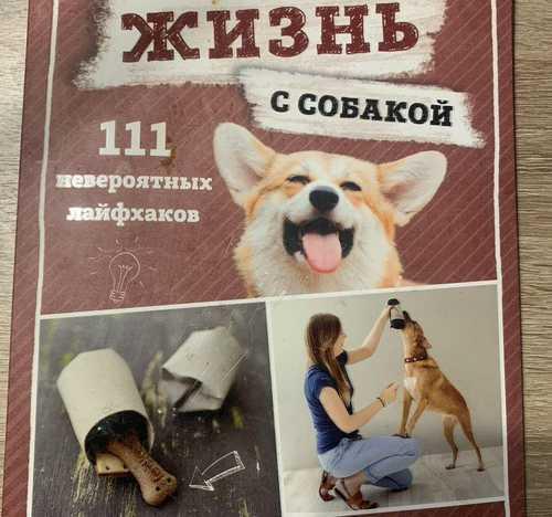 Жизнь с собакой: 111 невероятных лайфаков