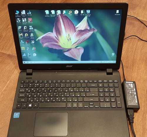 Acer extensa 2519