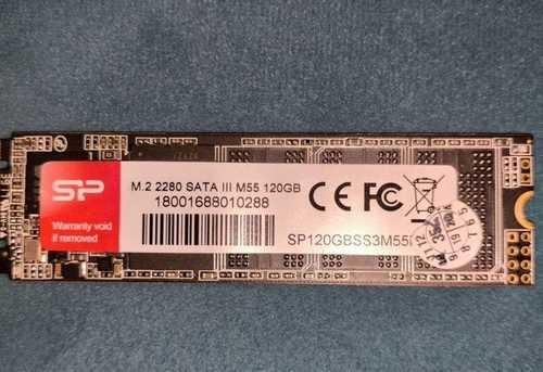 SSD SP m.2 2280 m55 120gb