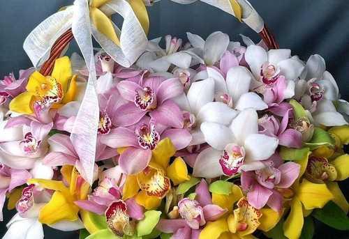 101 орхидея в плетенной корзине курьером