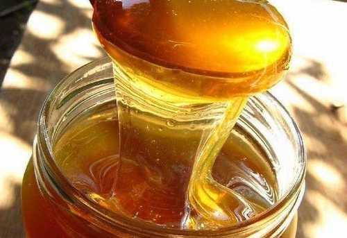 Мёд разнотравье 2023 г., с собственной пасеки