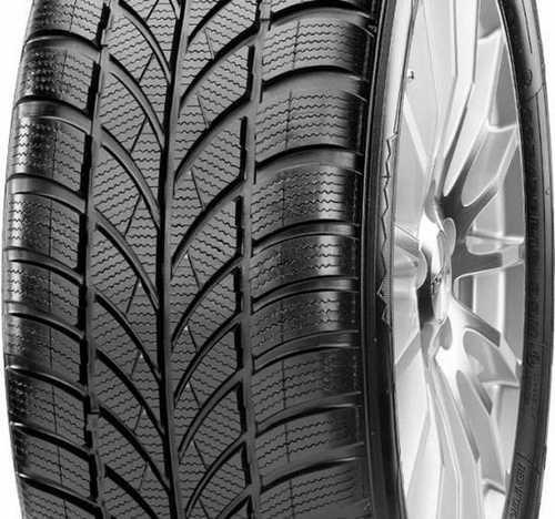 Maxxis WP-05 ArcticTrekker 185/55 R16 87H