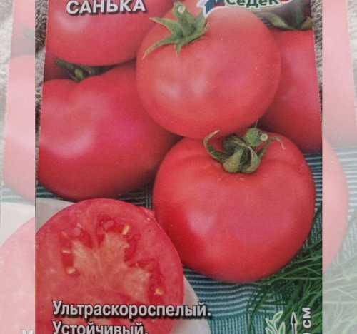 Рассада томатов