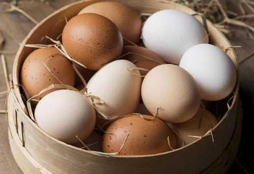 Яйца куринные домашние