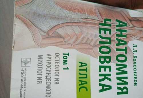 Книга анатомия человека