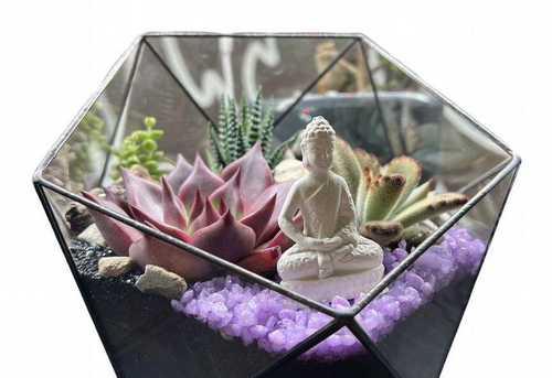 Флорариум Медитация, с суккулентами и Буддой