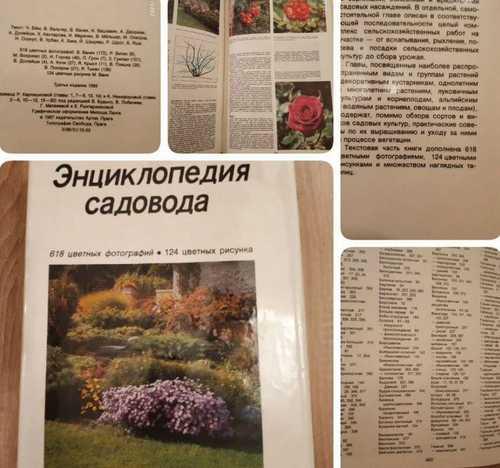 Книги 2 шт набор