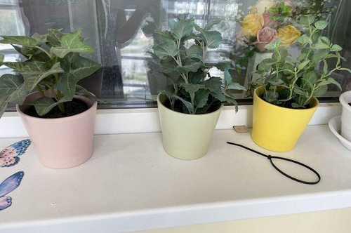 Растения искусственные из IKEA