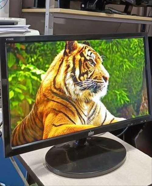 Монитор 19" DNS led, vga,dvi