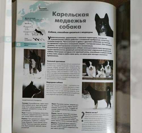 Книги про собак