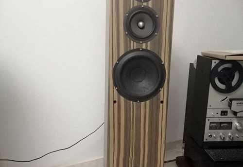 Акустические колонки ASP loudspeakers