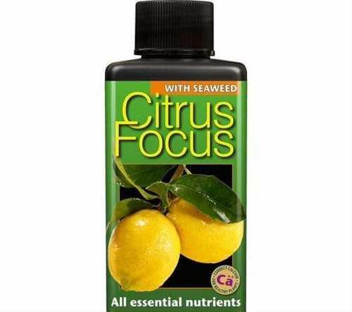 Citrus focus удобрение для цитрусовых 300мл