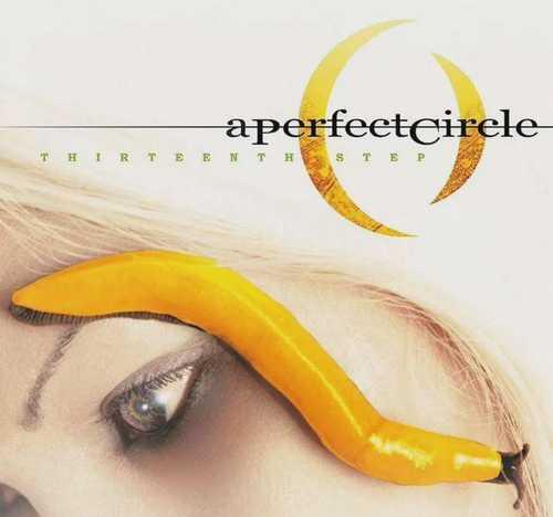 A Perfect Circle - Thirteenth Step