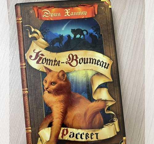 Коты воители рассвет