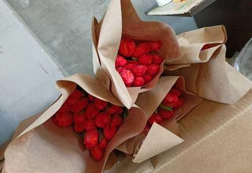 Тюльпаны, цветы, доставка бесплатная