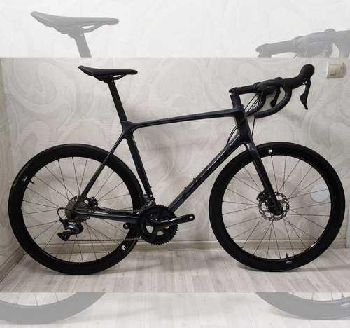 Giant TCR Advanced Pro 1 Disc 2022 (L/183-193см)