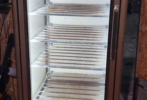 Холодильник Tecfrigo Ecodisplay 550 GBT