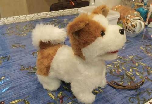 Продам интерактивную игрушку Собака
