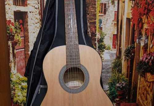 Гитара parkwood модель pc75 3/4 с чехлом
