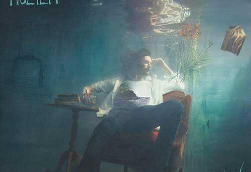 Виниловая пластинка Hozier - Wasteland, Baby (RSD2