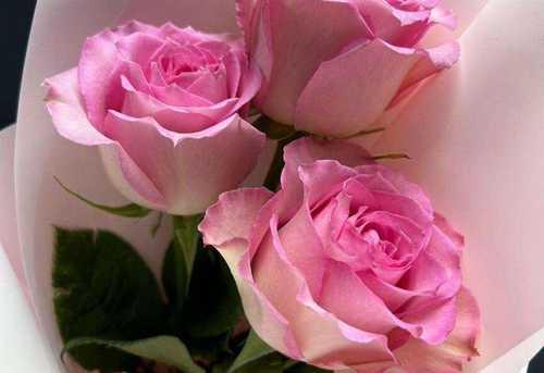 Букет из 3 роз Эквадор (комплимент)