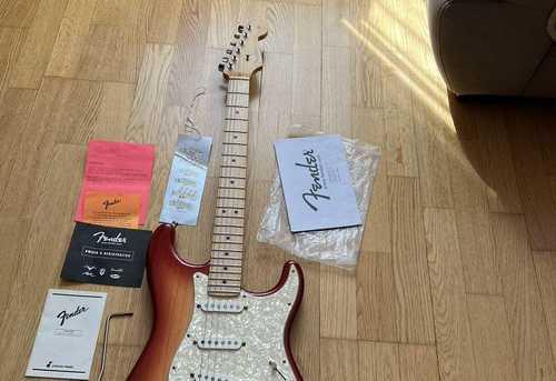 Fender stratocaster standard 2001 USA