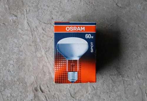 Лампочки osram concentra spot, 60 W, зеркальные