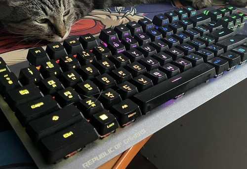 Asus ROG Strix Scope RX TKL Wireless Deluxe