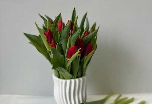 Тюльпаны для любимых