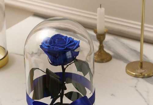 Роза синяя в колбе в подарочной упаковке
