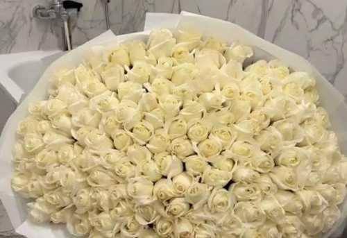 Белые розы. 51 Роза. 101 роза