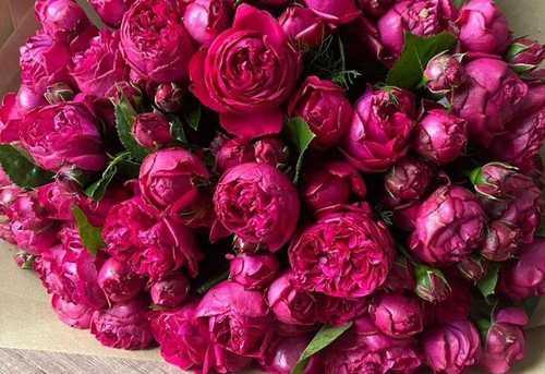 Кустовая пионовидная роза, букет пионовидных роз