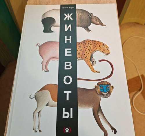 Жиневоты