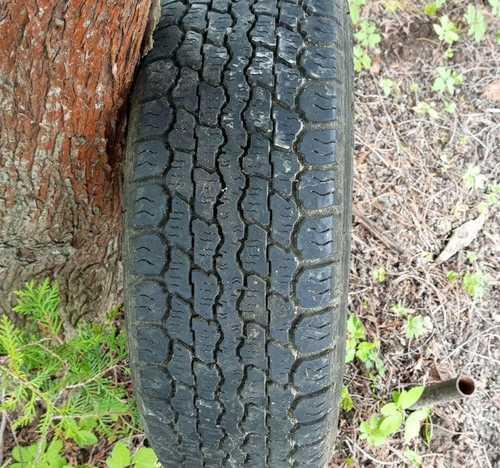 Белшина Бел-24-1 205/70 R14