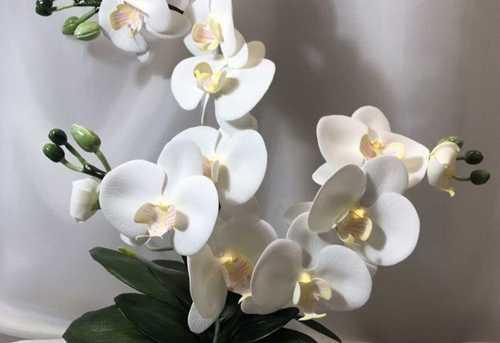 Подарок любимым орхидея вечная